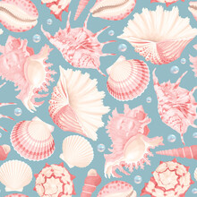 Repeat Pattern Of Pink Shell Free Stock Photo - Public Domain Pictures
