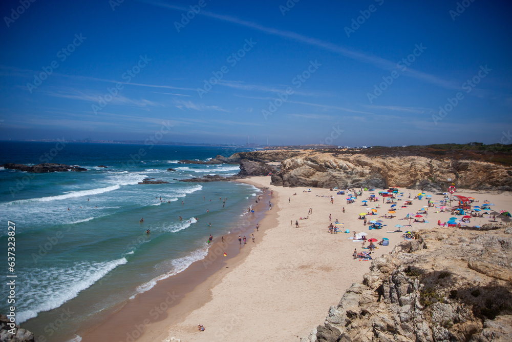 Graceful seagull soaring over Porto Covo's expansive beach, with the ...