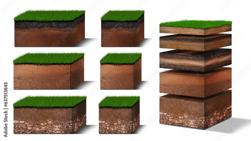 Isometric Soil Layers diagram, Cross section of green grass and ...