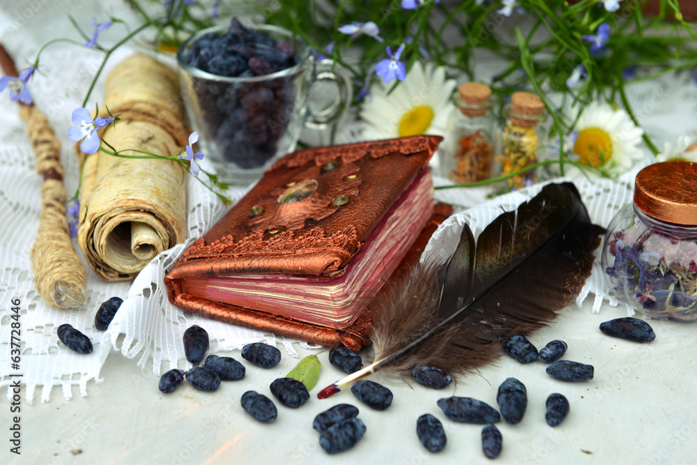 Still life with magic book of spell, manuscript and berries on the ...