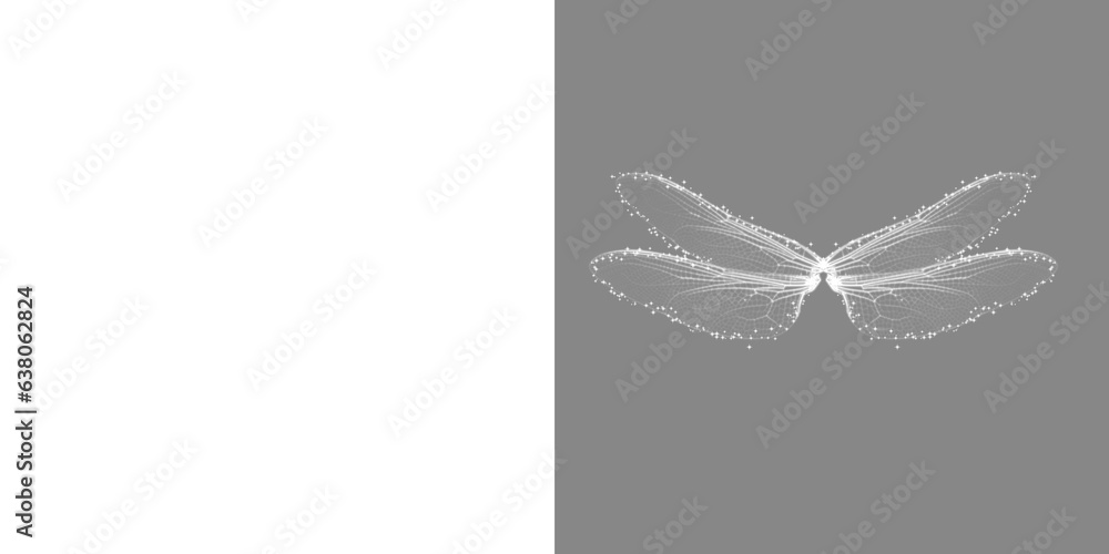 Magic beautiful butterflies wing isolated. Magic Angel Wings on ...