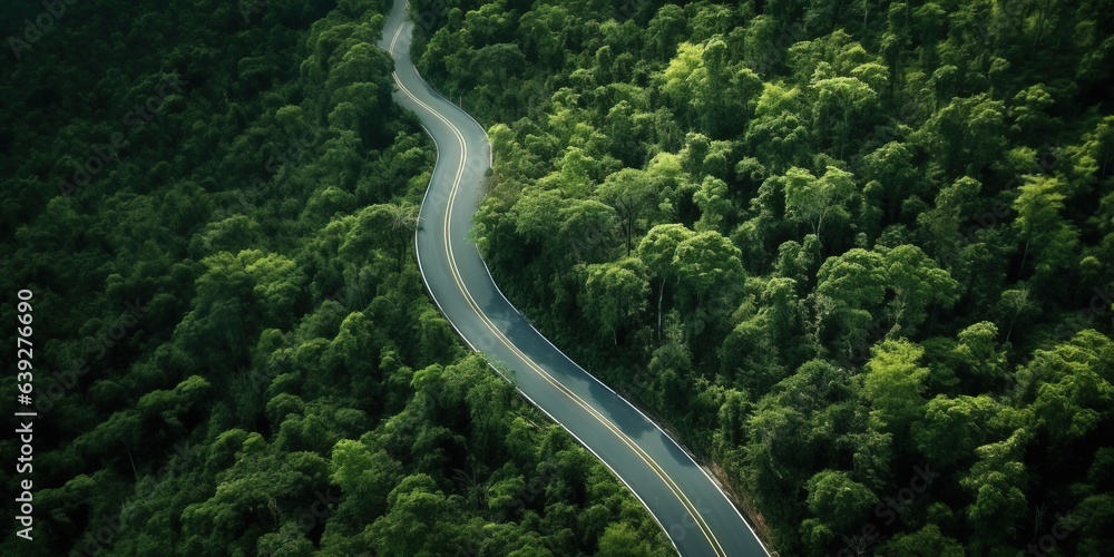 Aerial photo of empty meandering road in between forest Stock Photo ...