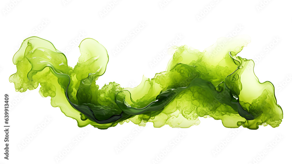 Algae isolated on transparent background. Algae png Stock Illustration ...