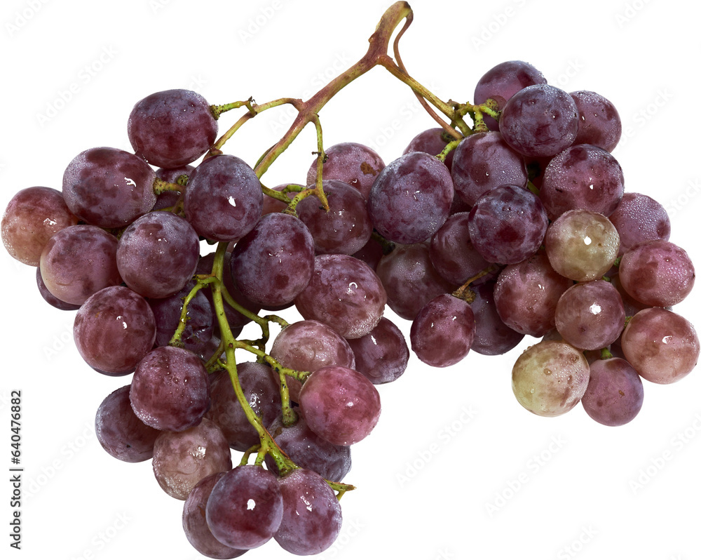 uvas, uvas moradas, uva roja, frutas, uva rosada, racimo de uvas Stock ...