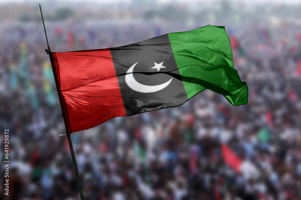 PPP Flag | Pakistan Peoples party waving Flag | Sindh Largest Political ...