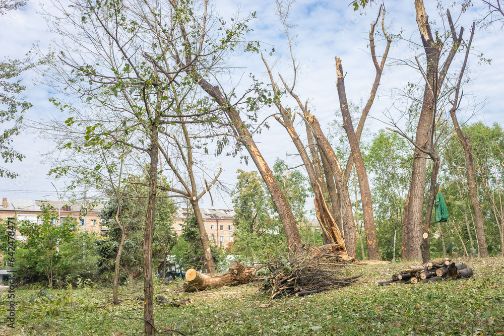 Foto de Stock Broken trees in park after air attack, Kyiv, Ukraine ...