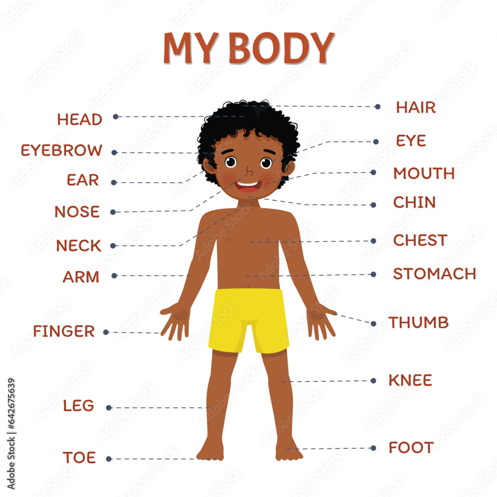Body part of little African boy anatomy poster with diagram text label ...
