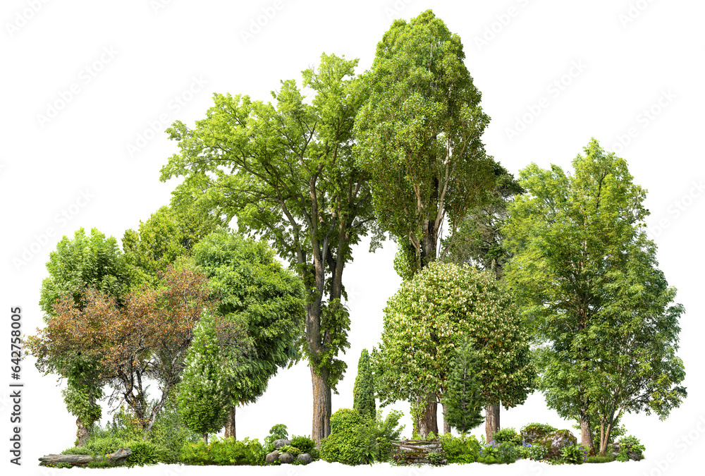 Cutout tree line. Forest and green foliage in summer. Row of trees and ...
