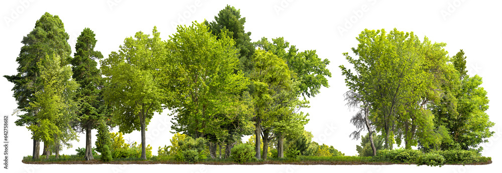 Cutout tree line. Forest and green foliage in summer. Row of trees and ...