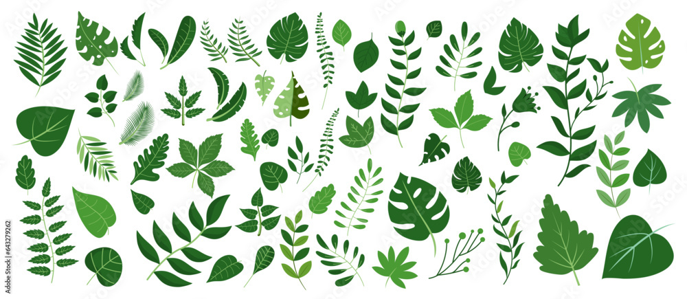 Green leaves big vector collection - Set of graphical elements with ...