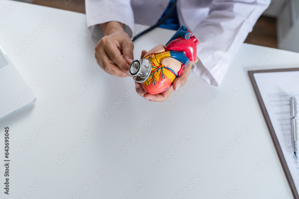 Doctor with anatomical model of human heart Cardiologist supports the ...