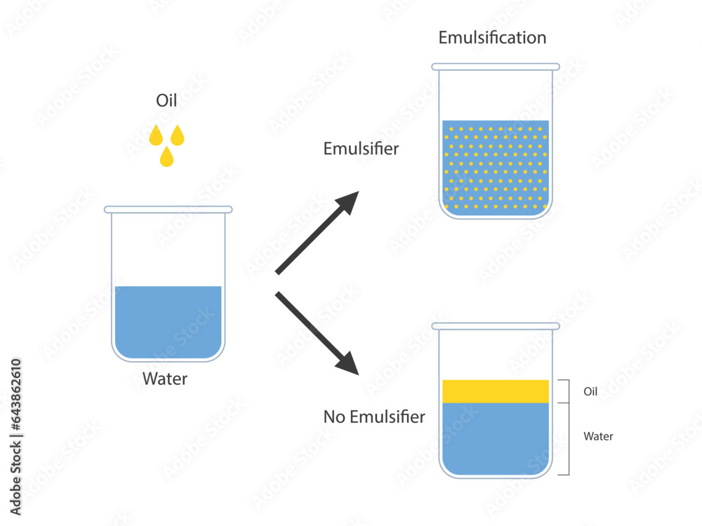 Emulsion, a mixture of two immiscible liquids in beakers, Emulsion oil ...