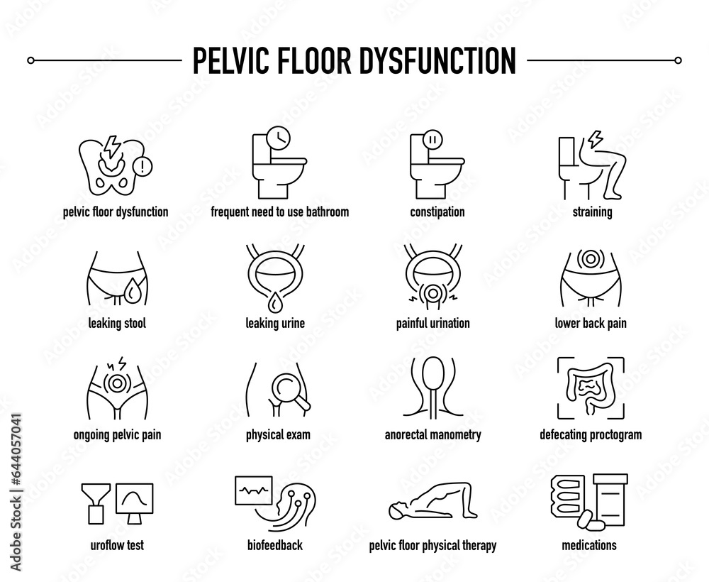 Pelvic Floor Dysfunction symptoms, diagnostic and treatment vector ...