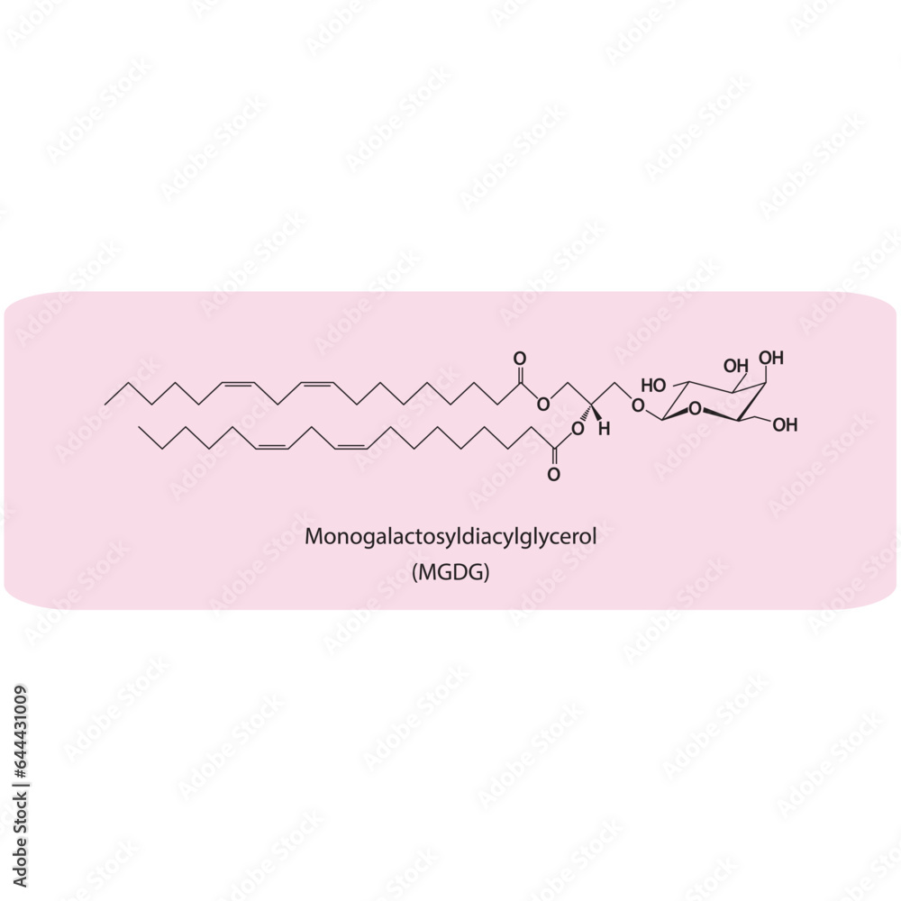 Monogalactosyldiacylglycerol (MGDG) molecular strcuture vector ...