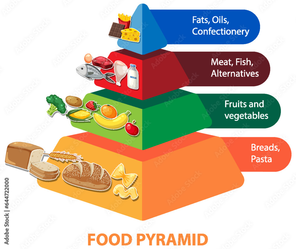 Cartoon Food Pyramid Infographic: A Nutritional Guide 素材庫向量圖 | Adobe Stock