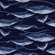 Whale Pattern Wallpaper Background Free Stock Photo - Public Domain Pictures