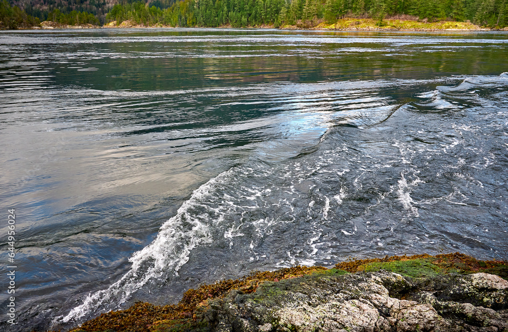 Skookumchuck Narrows (Rapids). tidal currents create standing waves and ...