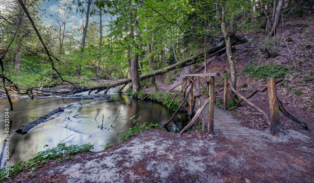Nad Tanwia Nature Reserve, The gorge of the Tanew River, Sopot River ...