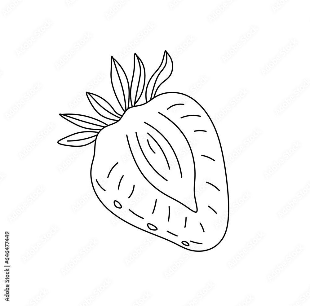 Vector isolated one single strawberry berry cut in half with leaves ...