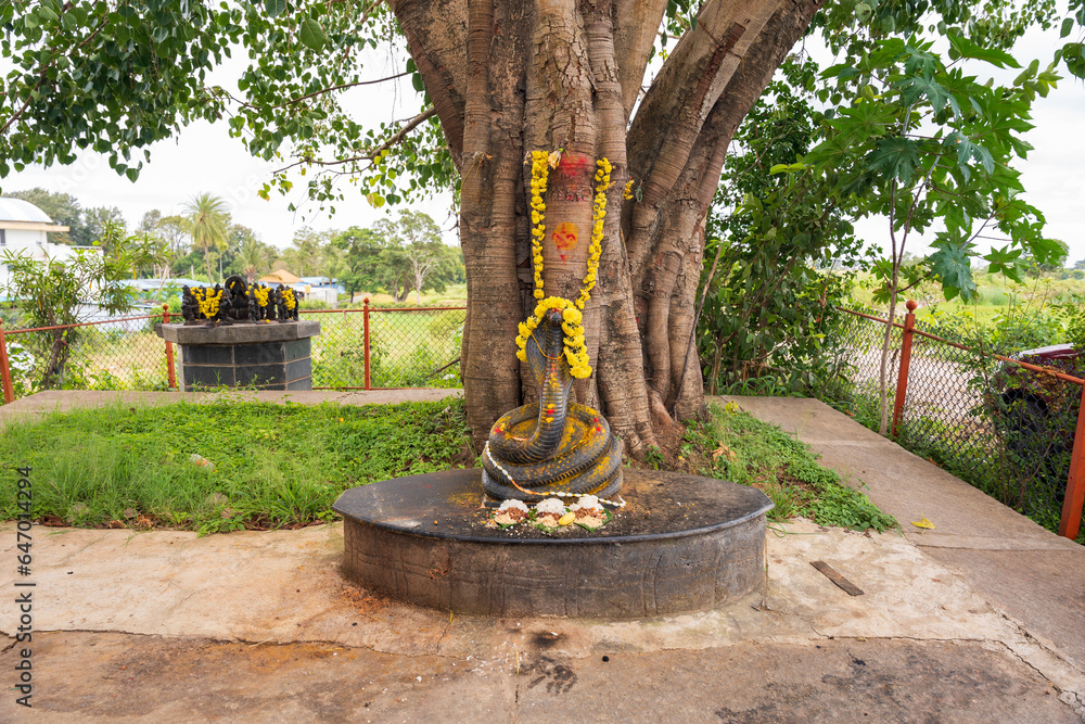 The Indian Shiva Temple. Spiritual, Mystical and Religious Traditions ...
