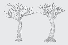 Bare Tree Pencil Sketch Free Stock Photo - Public Domain Pictures