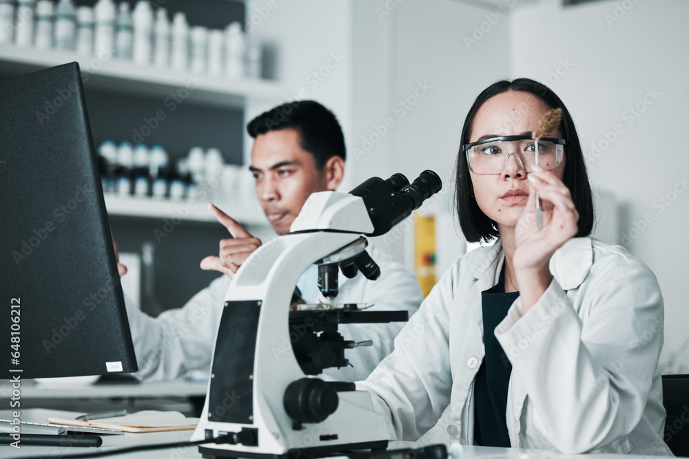 Scientist, woman and analysis of cannabis in laboratory for science ...