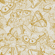 Butterflies Bugs Pattern Wallpaper Free Stock Photo - Public Domain ...