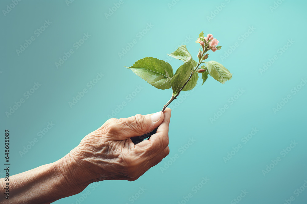 Longevity, Live to 100, Secrets of the Blue Zones, people living ...