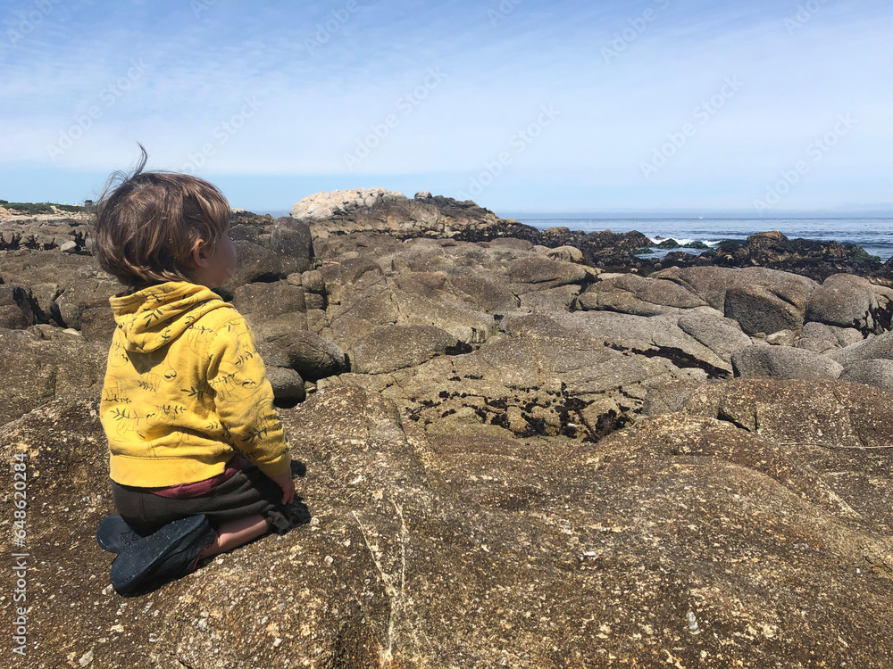 Having fun with tide pools - Little boy exploring beach and the ocean ...