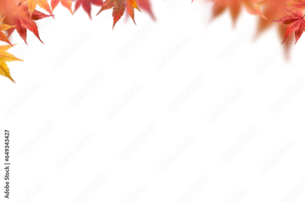 Autumn tree branch on transparent backgrounds png, set autumn leaves ...