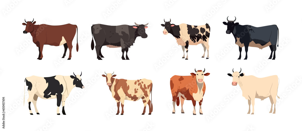 Cow, farm animal set flat cartoon isolated on white background. Vector ...