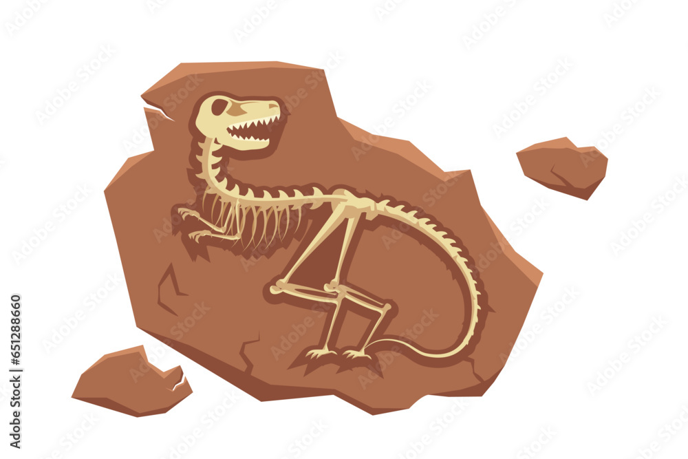 Dinosaur fossil vector illustration. Cartoon isolated jurassic dino ...