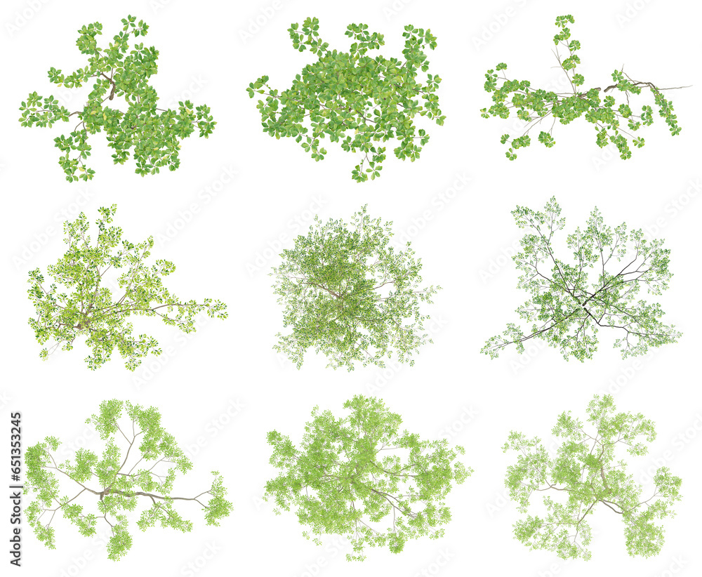 Set of green outside tree on top view isolated on transparent ...