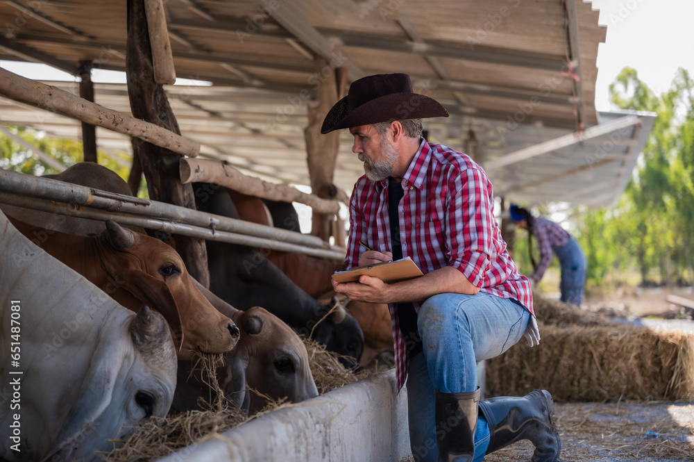 Senior farmer man cattle farming owner and his wife holding a clipboard ...