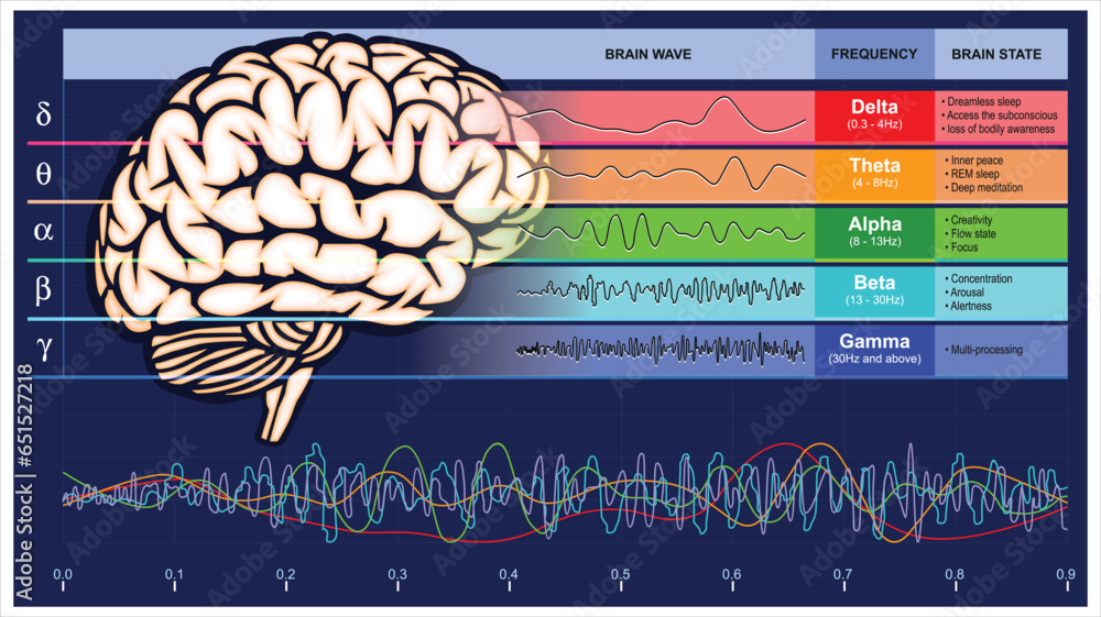 Brain wave function EEG chart, Different kinds of waveforms produced by brain activity Digital ...