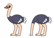 Ostrich Clip Art Free Stock Photo - Public Domain Pictures