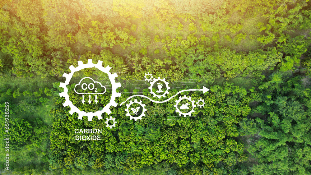CO2 icon in green forest with sunlight Reducing carbon dioxide ...