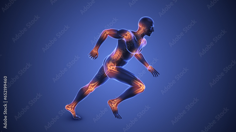 Joints in the human body Stock Illustration | Adobe Stock