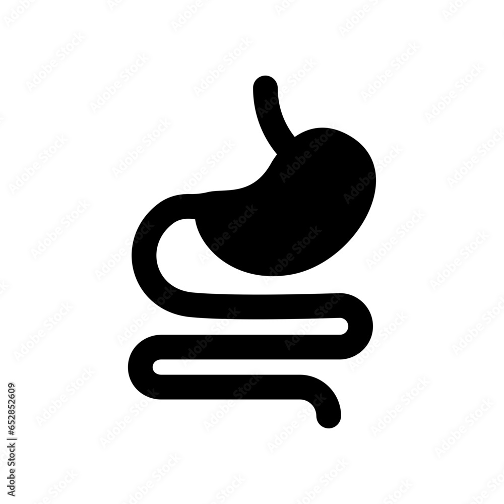 Digestive system, Human stomach and gastrointestinal system Infographic ...