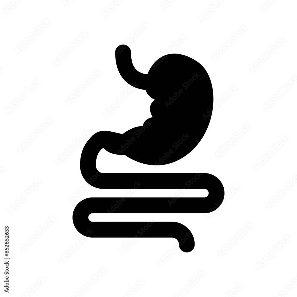 Digestive system, Human stomach and gastrointestinal system Infographic ...