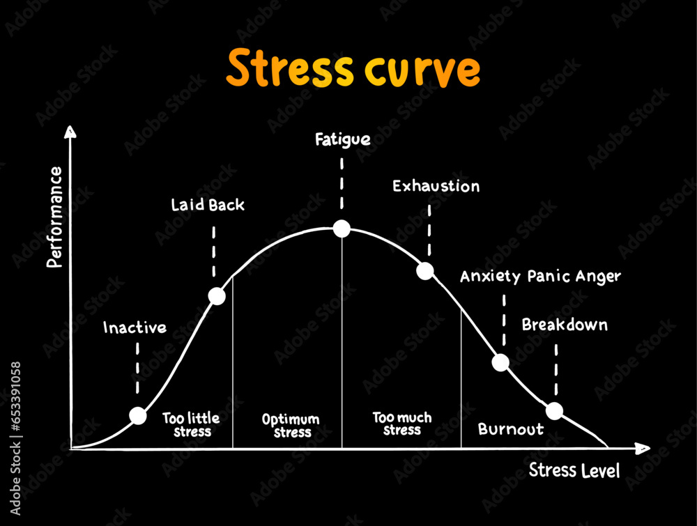 Different stages of the stress curve, educational diagram concept for ...