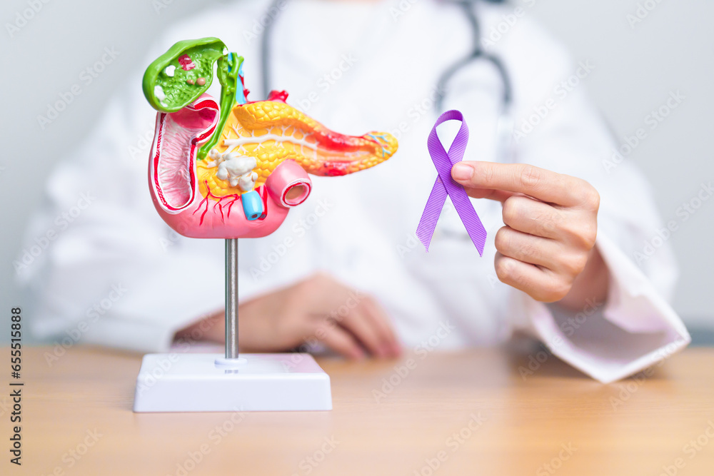 Foto de Stock Doctor holding Purple ribbon with human Pancreas model ...
