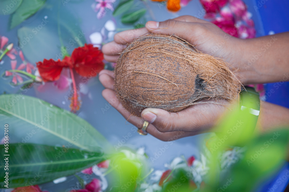 Man holding raw Coconut during Ganpati Visarjan. Indian puja Rituals ...