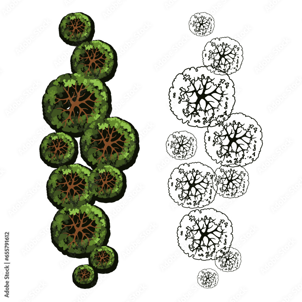 Vector de Stock Trees for the master plan. Tree for architectural floor ...