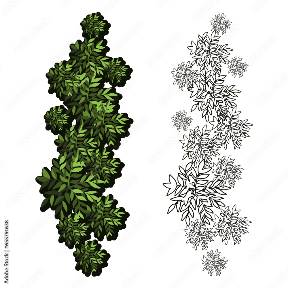 Trees for the master plan. Tree for architectural floor plans ...