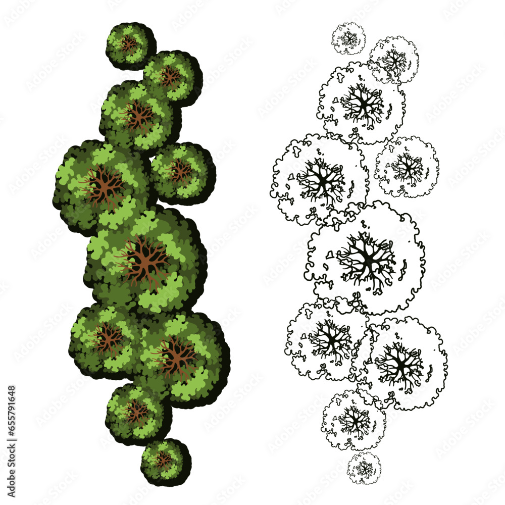 Trees for the master plan. Tree for architectural floor plans ...