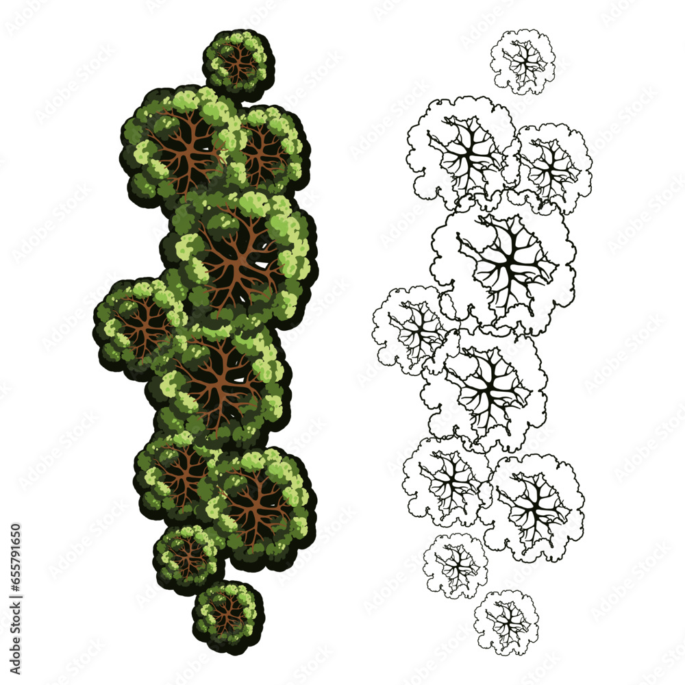 Group of trees for architectural floor plans. Entourage design. Various trees, bushes, and ...