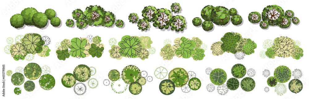 Tree for architectural floor plans. Entourage design. Various trees, bushes, and shrubs, top ...