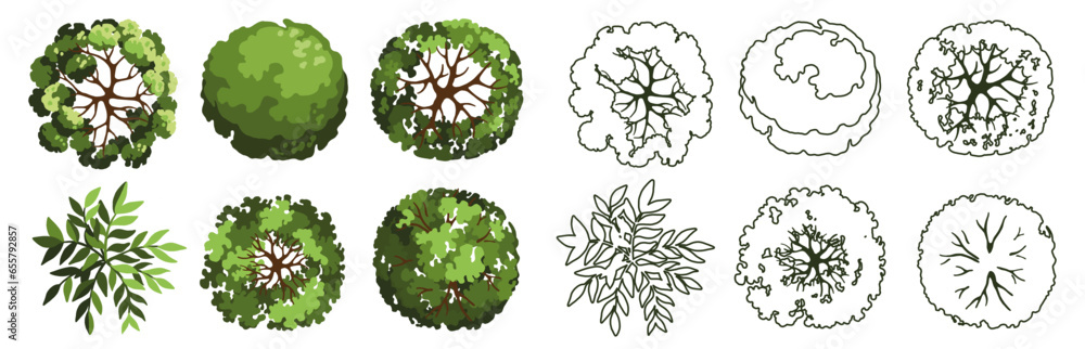 Tree for architectural floor plans. Entourage design. Various trees ...