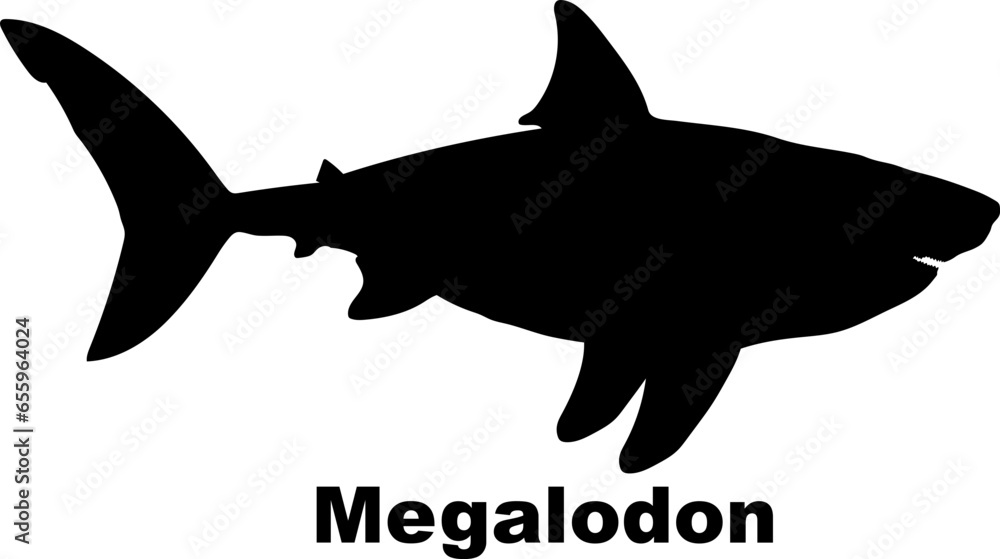Megalodon Dinosaur Silhouette. Dinosaur name breeds SVG Types of ...